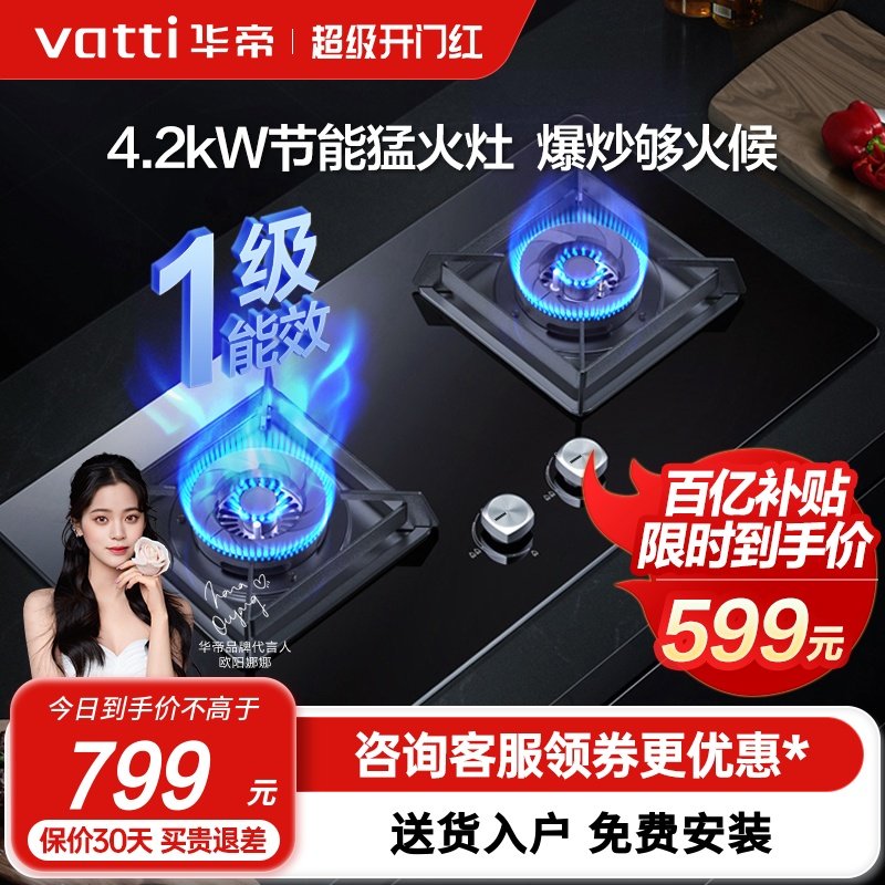 Vantage Gas Stove - Double Burner - Natural Gas & Liquefied Gas ...