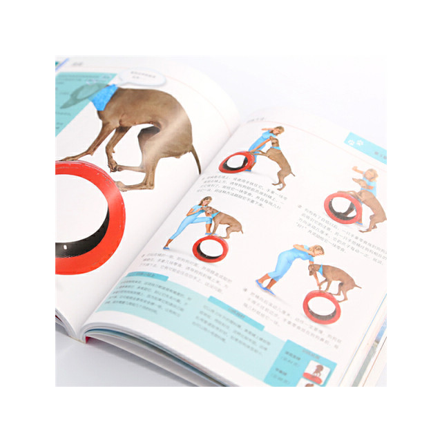 One dog game is enough to raise a dog book training dog pet complete ...