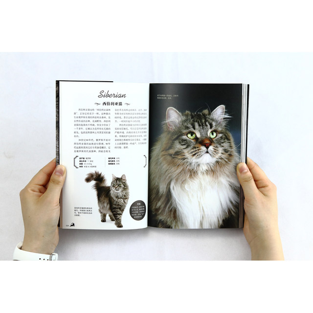 Cat Encyclopedia Cat Illustrated Book 48 World Famous Cat Illustrated ...