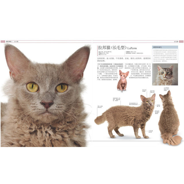 DK Cat Encyclopedia Cat Encyclopedia Feline Animal Books Cat ...