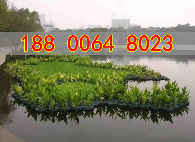 Ecological floating island biological artificial floating bed plant ...