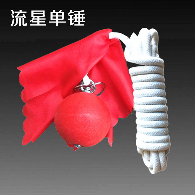 Nine-section whip training rope whip beginner practice Baijia whip rope ...