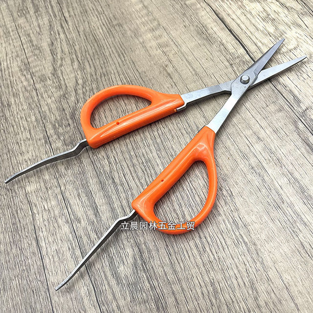 Stainless steel grape scissors for thinning fruits and vegetables ...