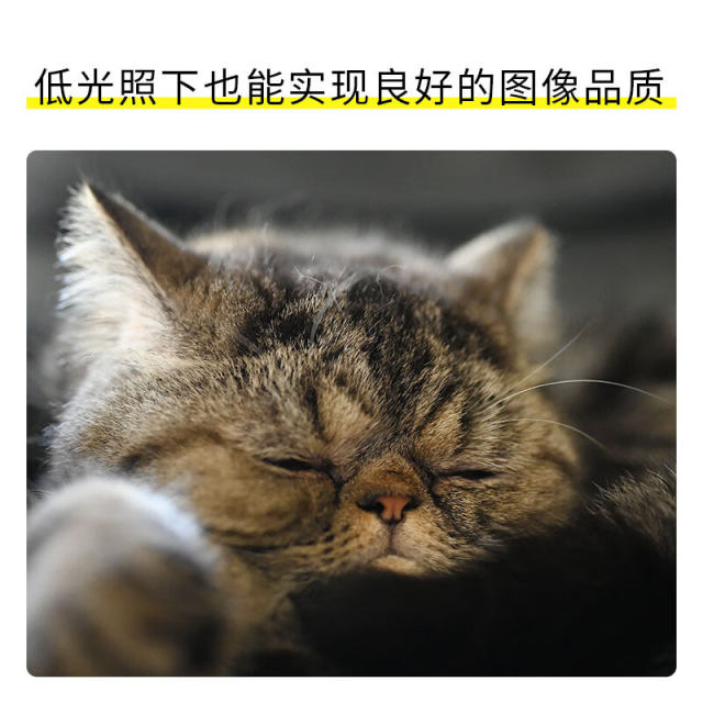 Nikon/Nikon Z6II second generation Z62 full-frame mirrorless camera 24 ...