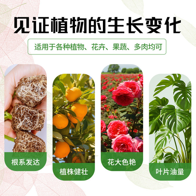 Hongyue Nutritional Soil and Flower Growing Universal Special Home ...