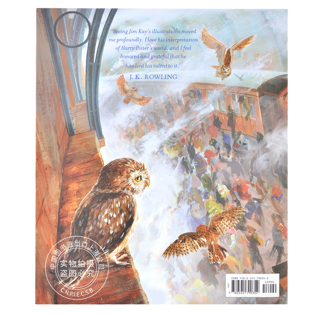 Spot Harry Potter and the Sorcerer's Stone Illustrated Edition English ...