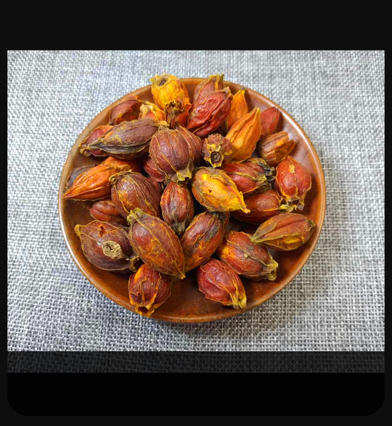 Mountain gardenia - chinese herbal medicine | EBUY7