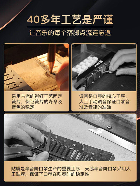 Swan Dream Chaser Chromatic Harmonica 12 Holes 16C Key Beginner Entry ...