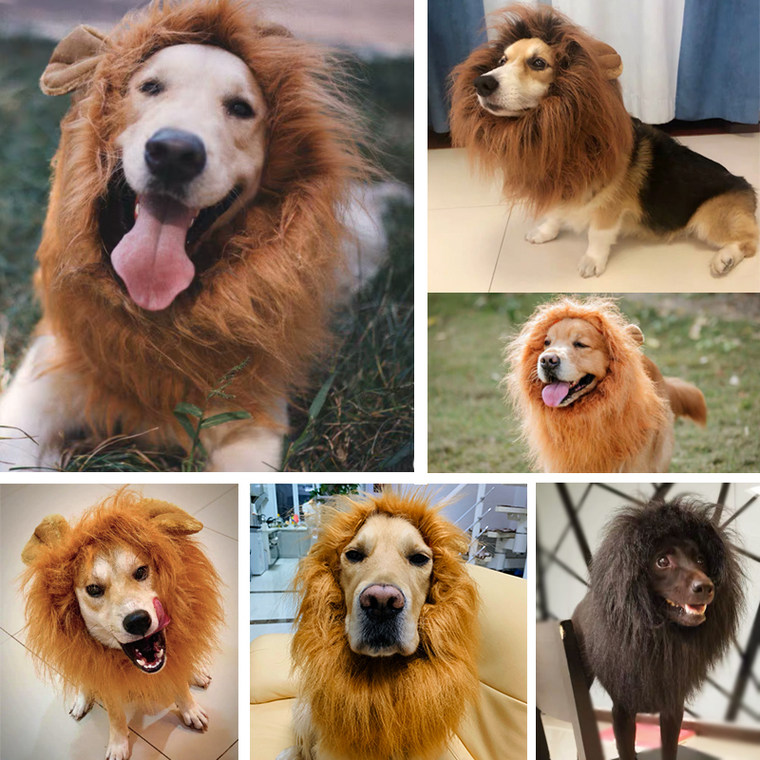 Golden Retriever Funny Lion Headgear Wig Transformation Costume Pet ...
