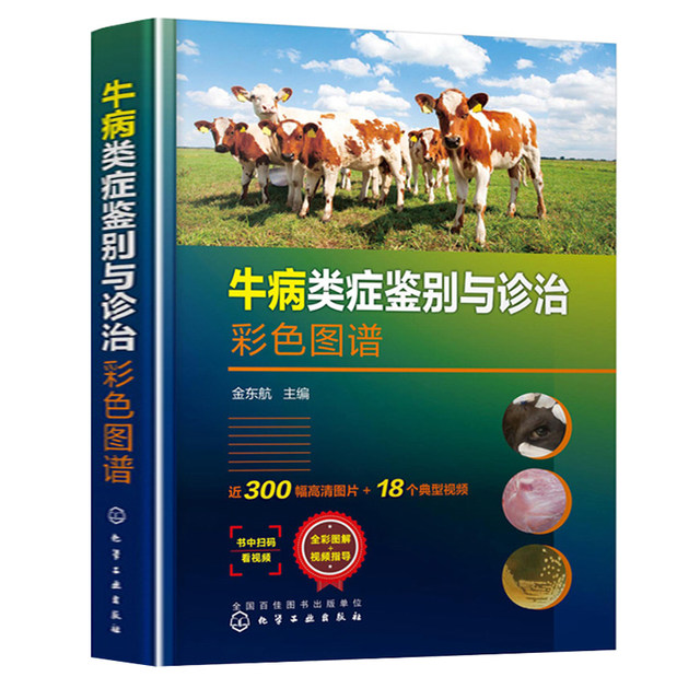 Cattle disease prevention and safety medication+cow disease ...