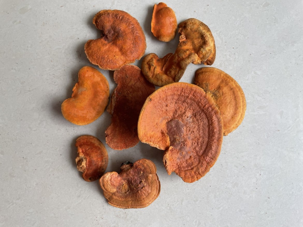 Wild Ganoderma Lucidum - 500g - Yunnan Province