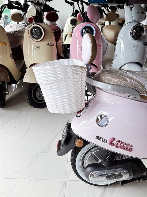 Electric motorcycle rear basket, electric motorcycle rear hanging ...