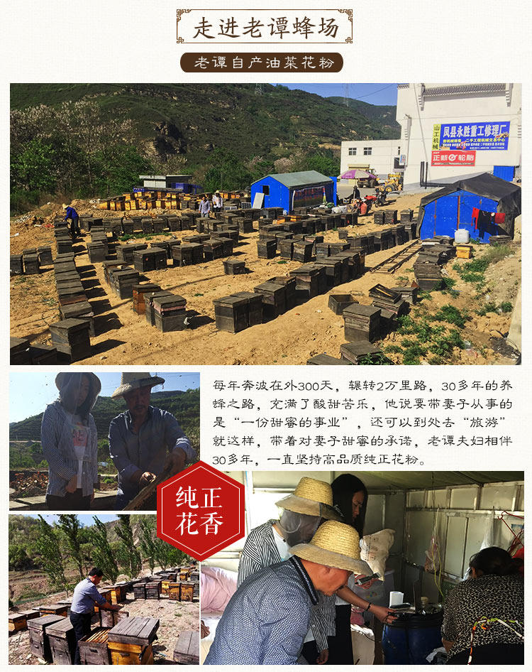 2022 tip of the tongue 2 tan guangshu pure rapeseed pollen | Tan guangshu