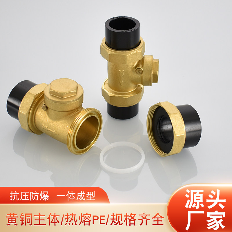 Brass Body 20 25 32PE Hot Melt Horizontal Check Valve 40 50 63 Brass ...