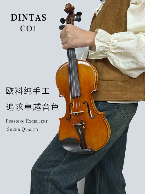 Dintas C01 handmade European tiger pattern violin imported material ...