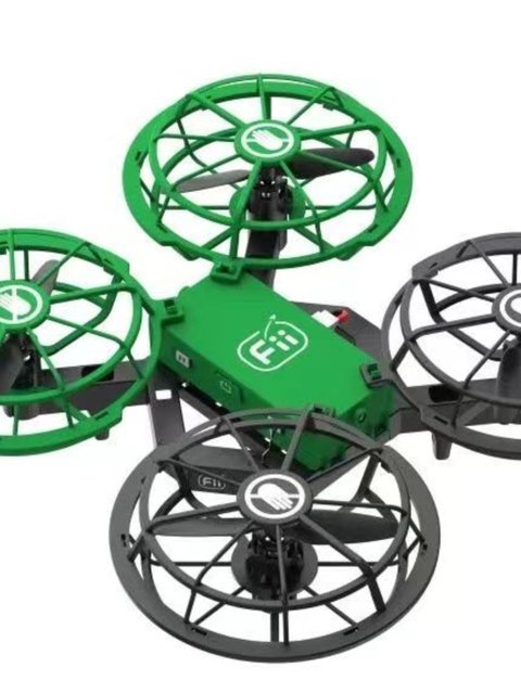 Fii bird flying most New arrival F120 national youth Primary School ...