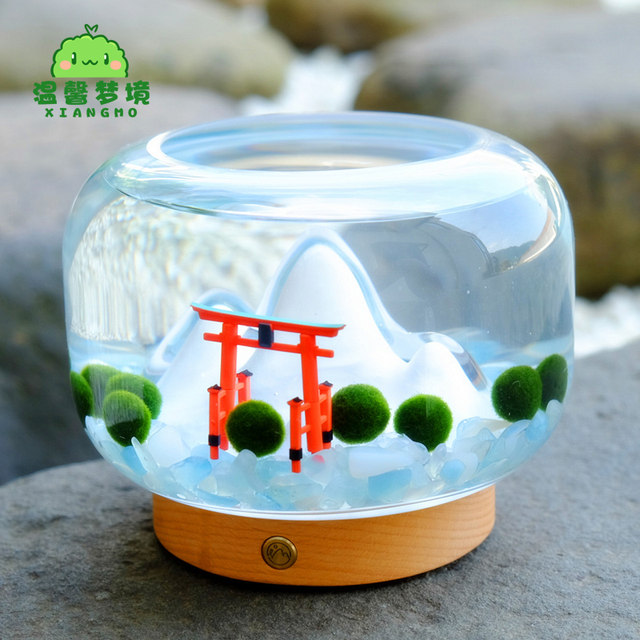 Japanese-style warm mountain home marimo seaweed ball diy micro-landscape desktop plant potted ...