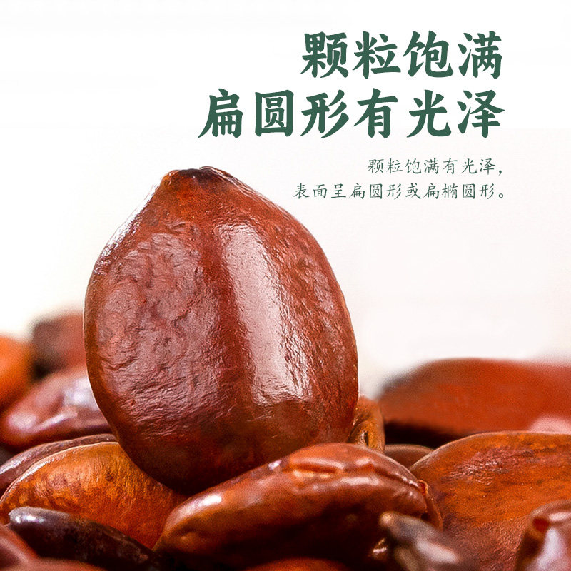 Tong Fu Wild Jujube Kernel - Chinese Herbal Medicine - 500g