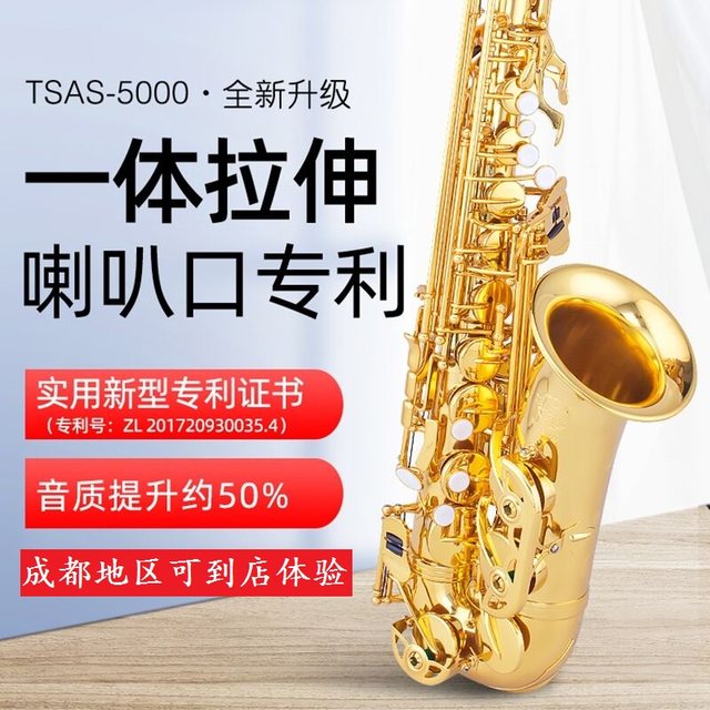 Taishan e-flat alto saxophone TSAS-5000 saxophone instrument adult ...