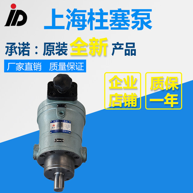 10SCY/25SCY/40SCY/63SCY/80SCY/100SCY/160SCY14-1B Shanghai plunger oil pump