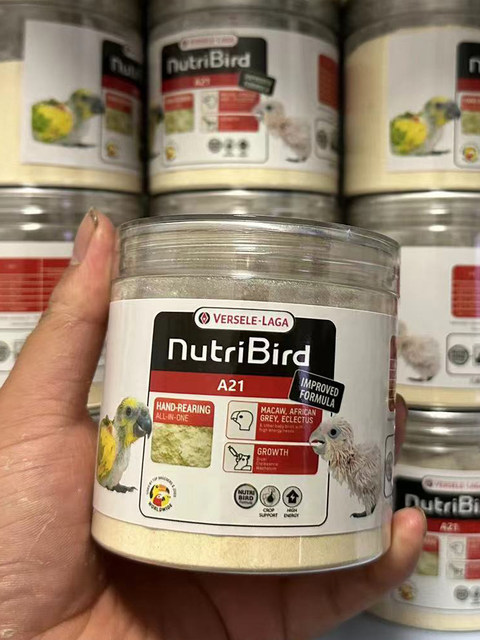 Belgian Versailles parrot milk powder low-fat hand-raised 0-day chicks ...