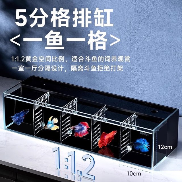 yee super white betta fish tank glass multi-grid isolation back filter ...