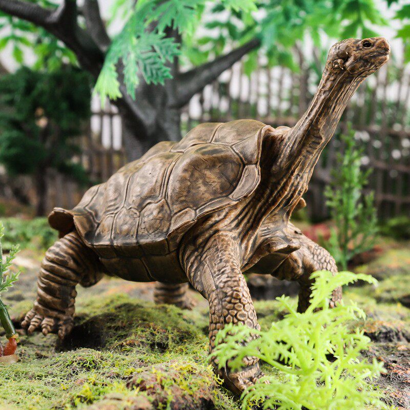 Marine Life Animal Models - Turtle, Tortoise & More