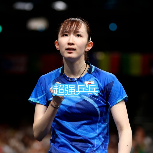 Spot Osaka direct delivery Japanese local version of Nittaku Nittaku Hayata Hina's same carbon blade