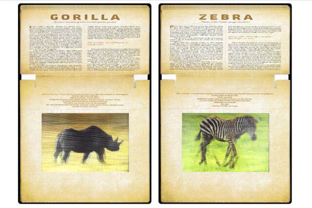 English original light and shadow visual book series moving 3D picture ...