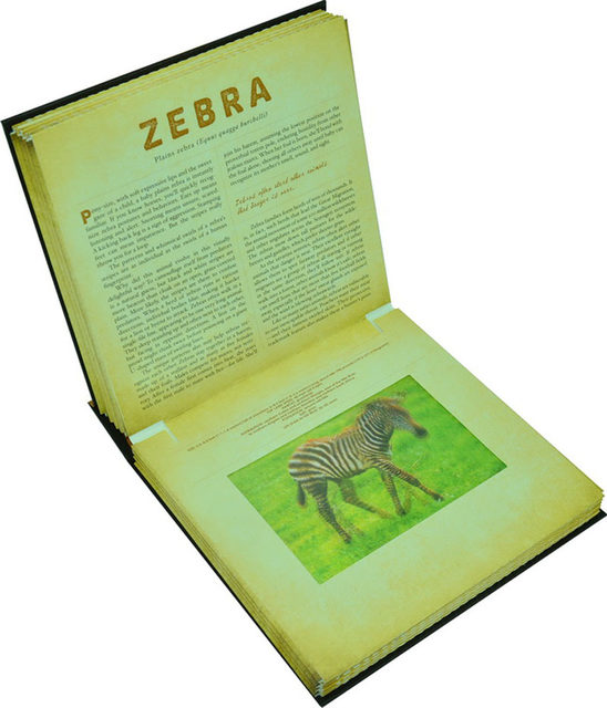 English original light and shadow visual book series moving 3D picture ...