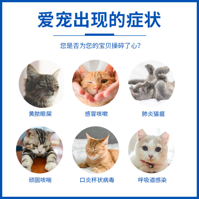 Hanwei Pet Shiduokangxin pet doxycycline hydrochloride tablets cat cold ...