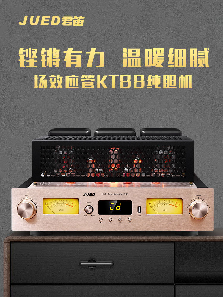 Jued D98 High Power Tube Amplifier - KT88 HiFi Audio