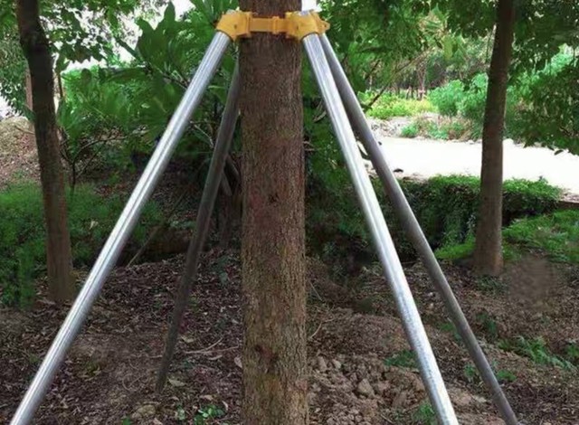 Green big tree support pole Garden metal tree support steel pipe fixer ...