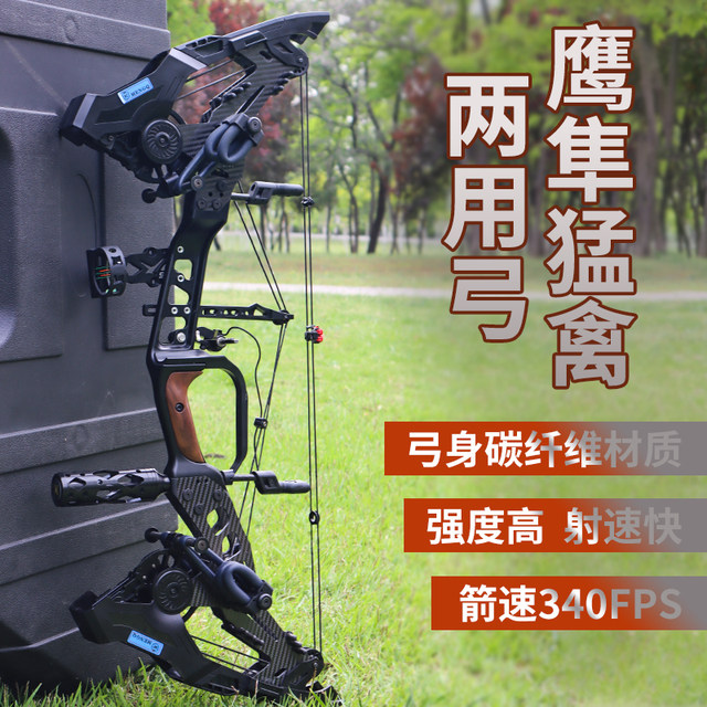 Eagle, Falcon, Raptor, Composite Dual-Purpose Steel Ball Bow, Archery ...