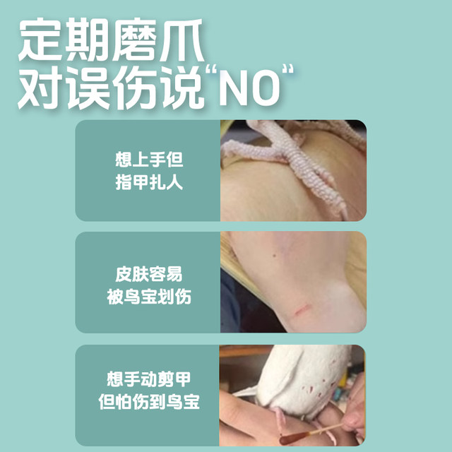 Pet Shangtian Parrot Beak Grinder Electric Claw Grinder Nail Picking ...