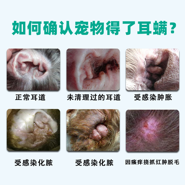 Pet cat and dog hair plucking powder set dog ear hair plucking pliers ...