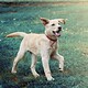Ceyear思仪 3657系列矢量网络分析仪 3657A/3657B/3657AM/3657BM-淘宝Taobao | 天猫Tmall
